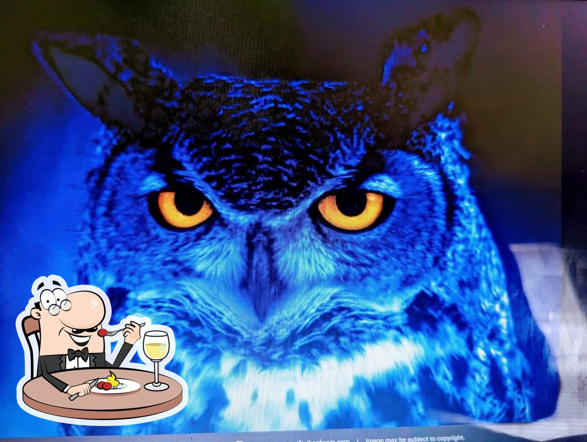 The Night Owl Food Truck, Indianapolis - Restaurant menu, prices and ...