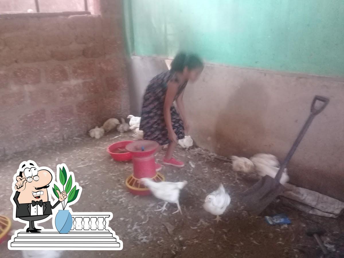 Friends chicken stall, Chirakkal - Restaurant reviews