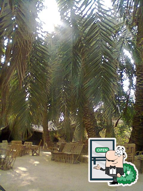 New Star Siwa restaurant, Siwa Oasis - Restaurant reviews