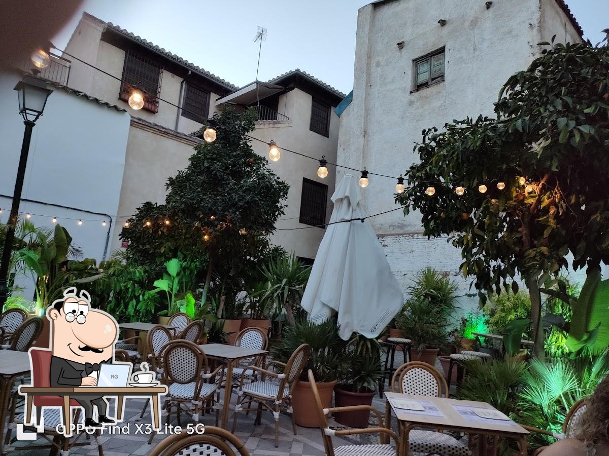 Restaurante Mamá Samba, Granada - Menú del restaurante, precios y reseñas