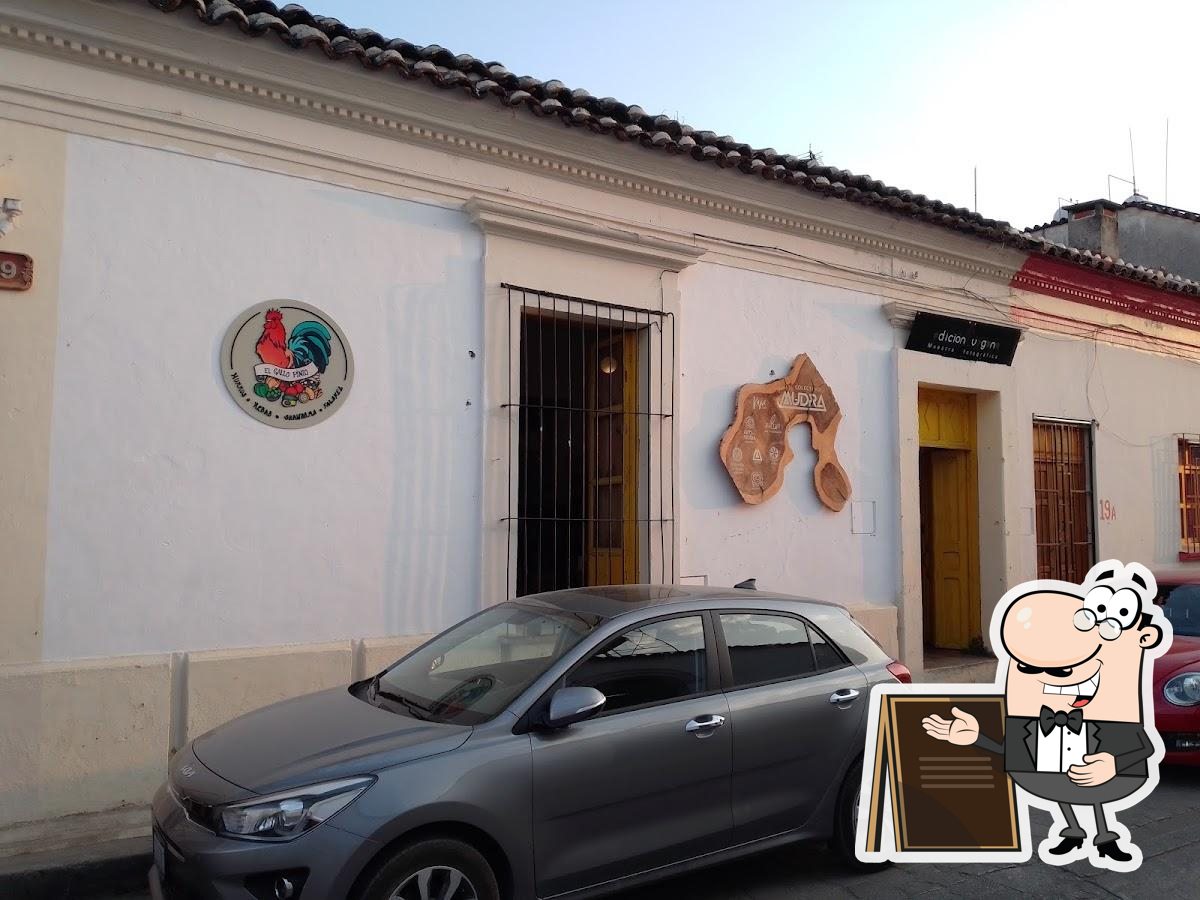 Restaurante El Gallo Pinto, San Cristóbal de las Casas - Opiniones del ...