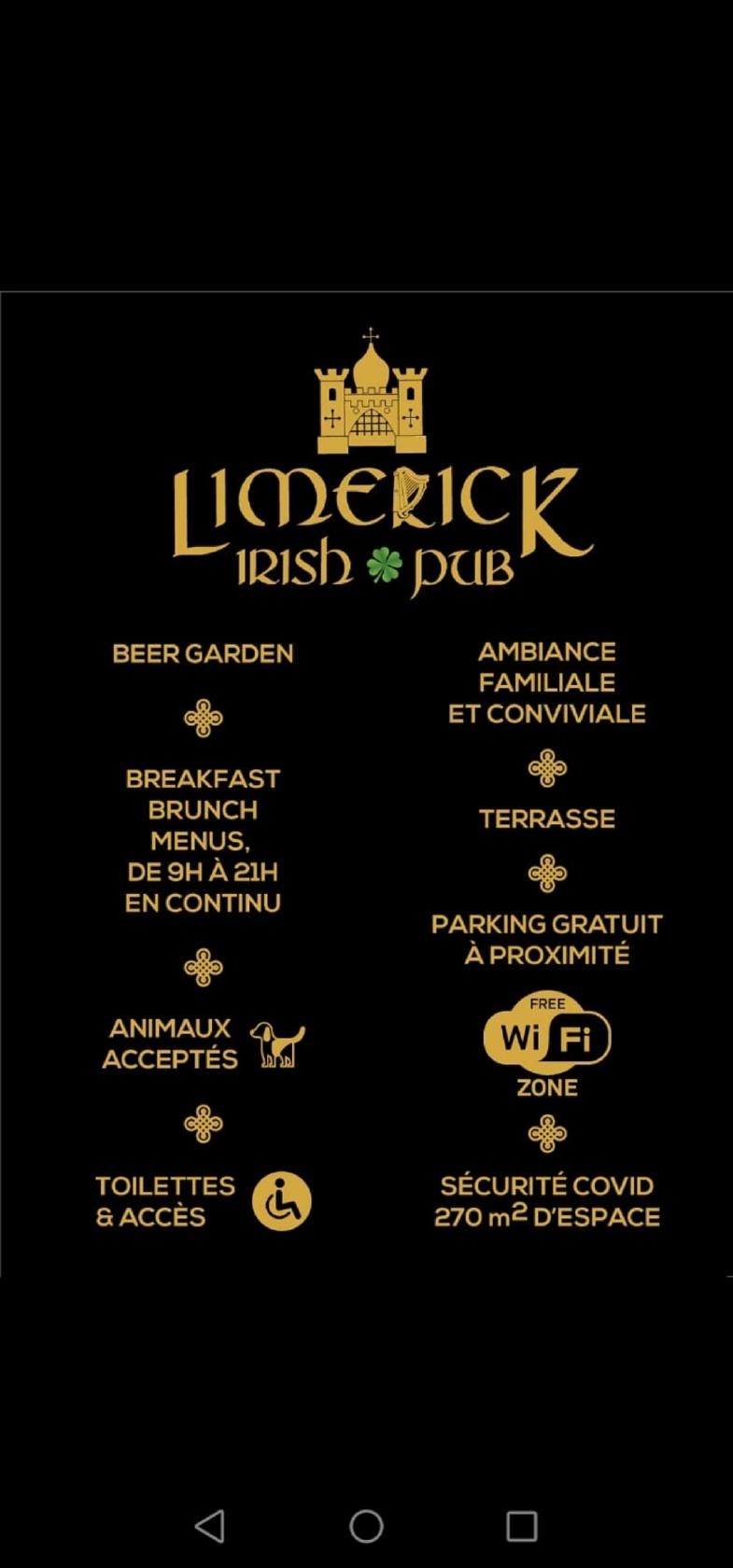 Menu at The Limerick Irish Pub, Lourdes