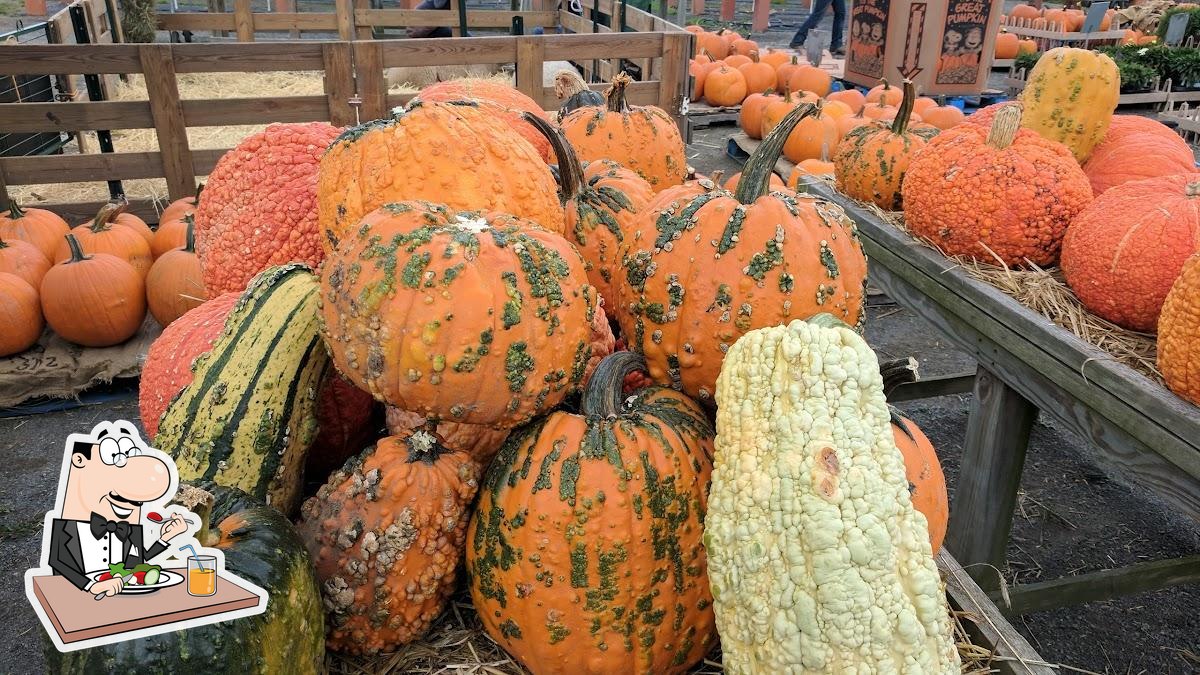Randall's Farm in Ludlow - Restaurant menu and reviews