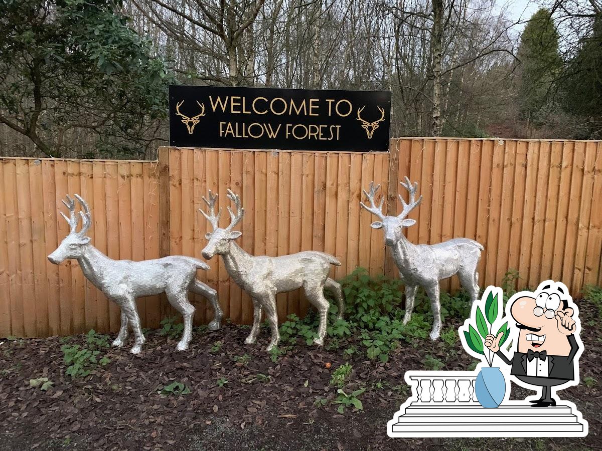 Fallow Forest in Cannock - Restaurant reviews