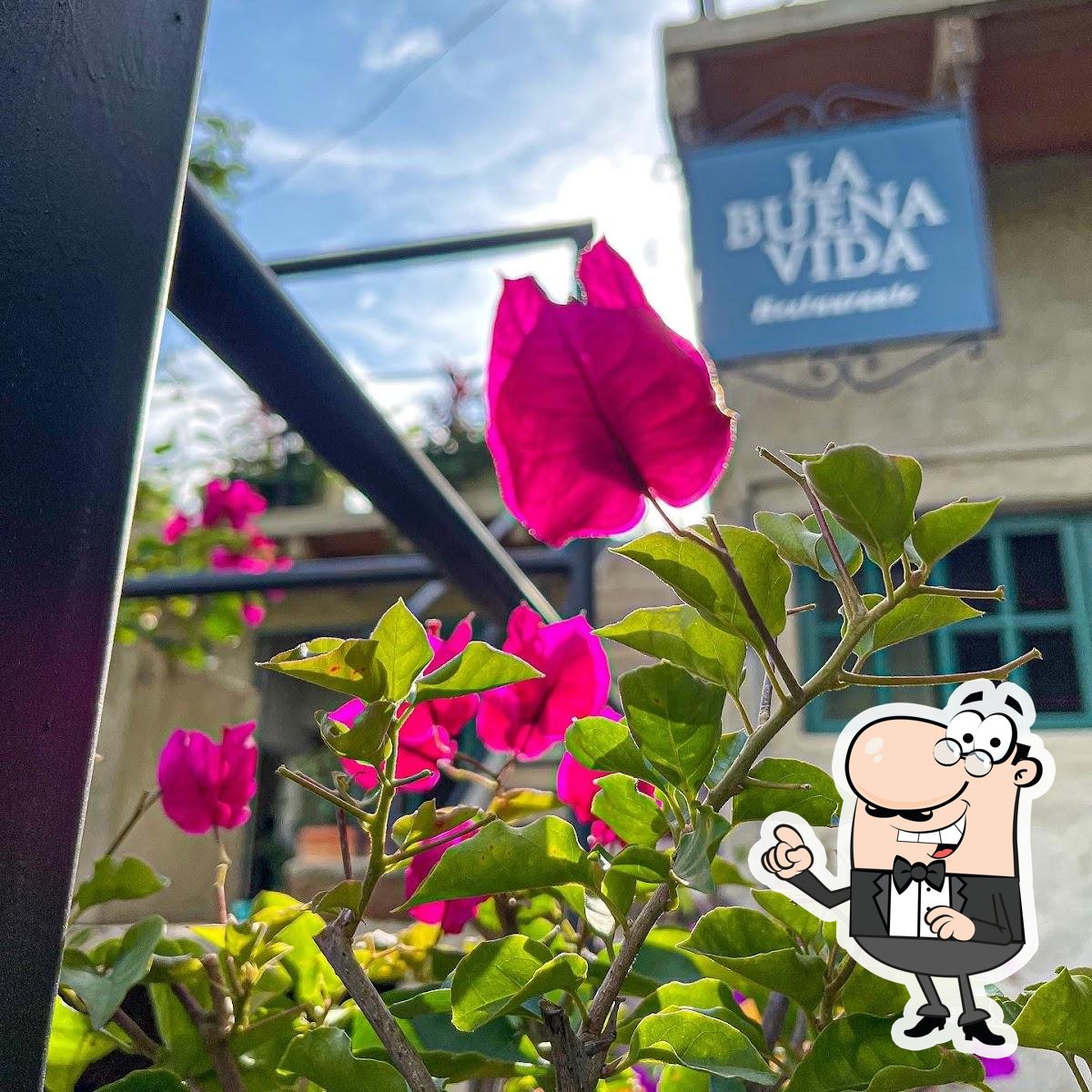 Restaurante La Buena Vida Cocina, Cali - Opiniones del restaurante