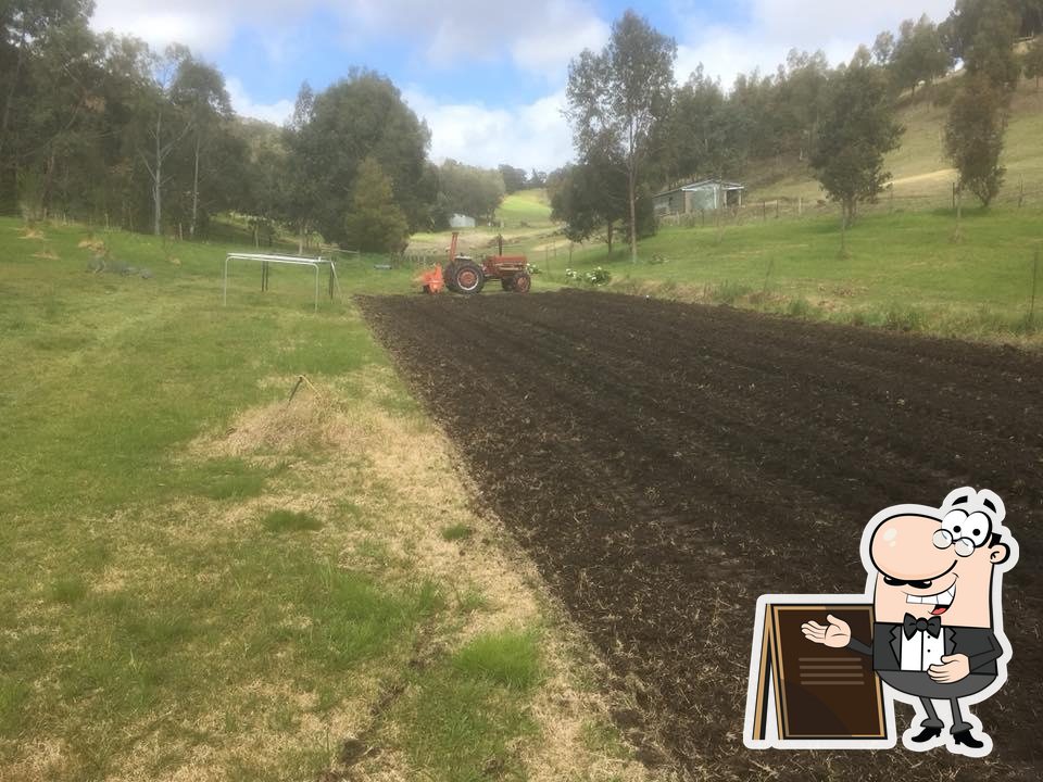 Basket Range Farm in Basket Range - Restaurant reviews
