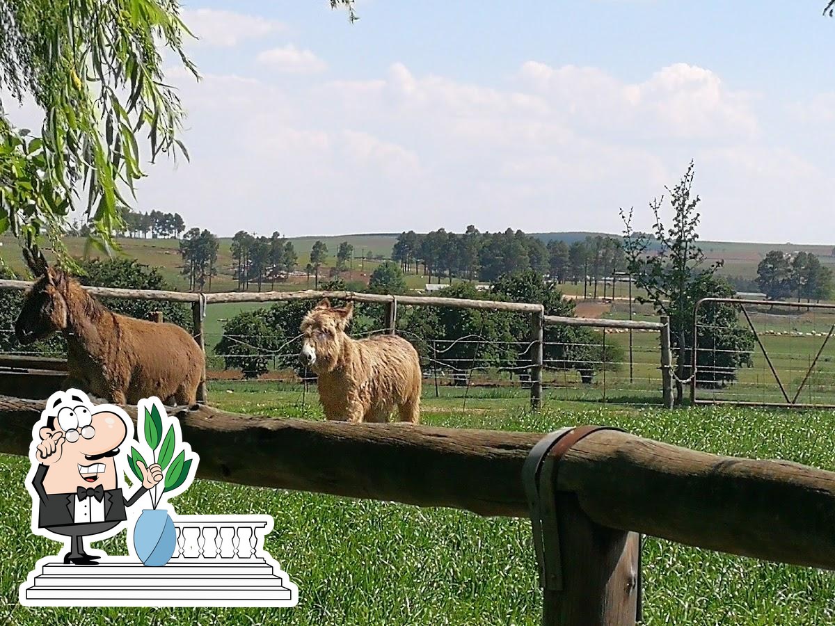 The Olde Duck restaurant, Underberg - Restaurant reviews