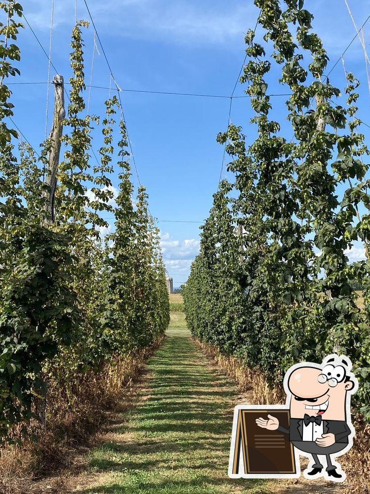 Climbing Bines Hop Farm & Brewery in Dresden - Restaurant menu and reviews