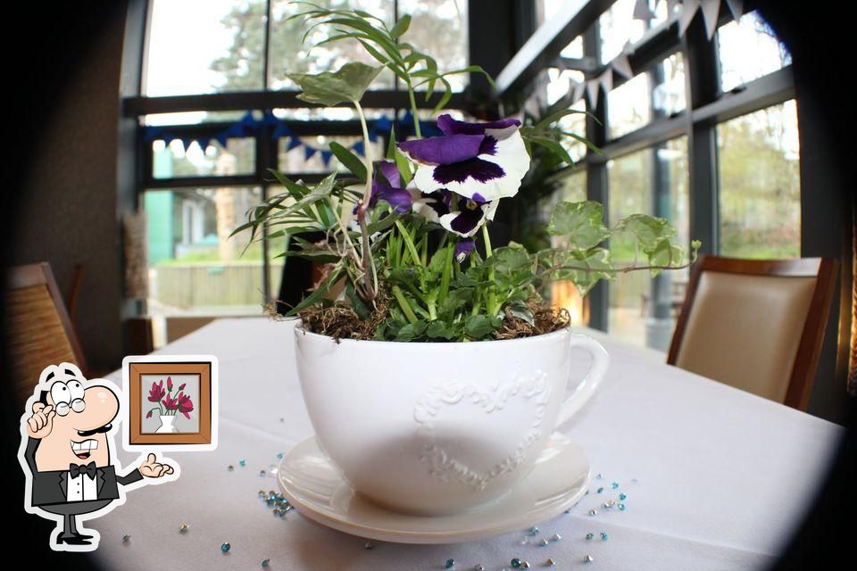 Forever Green Restaurant in Mansfield - Restaurant reviews