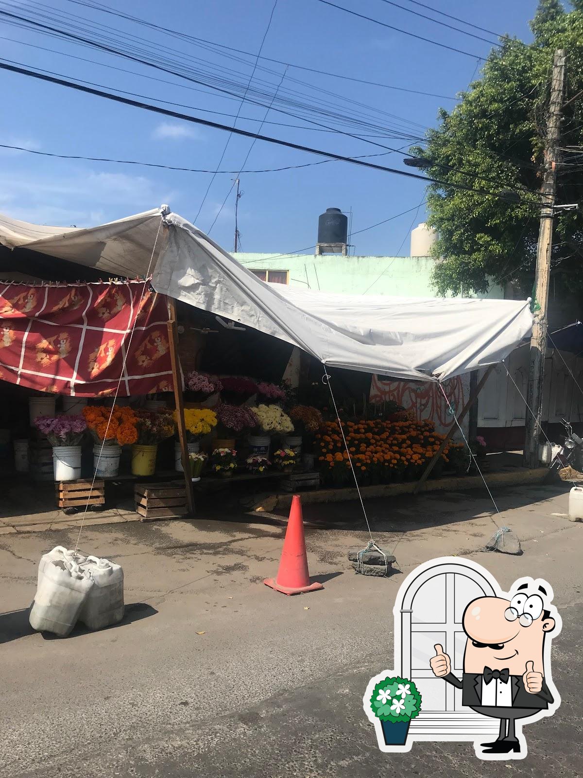 Tacos De Birria Los Compadres restaurant, Mexico - Restaurant reviews