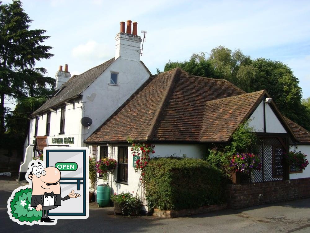 Half Moon & Spread Eagle, Winchester Road in Micheldever