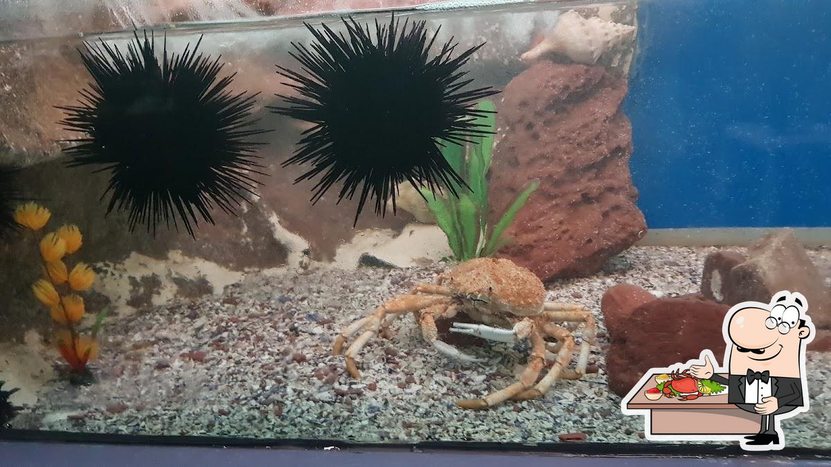 Merimbula Aquarium & Wharf Restaurant in Merimbula - Restaurant reviews