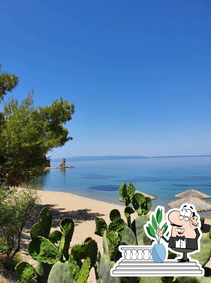 Rodia Beach Bar, Sithonia - Restaurant reviews