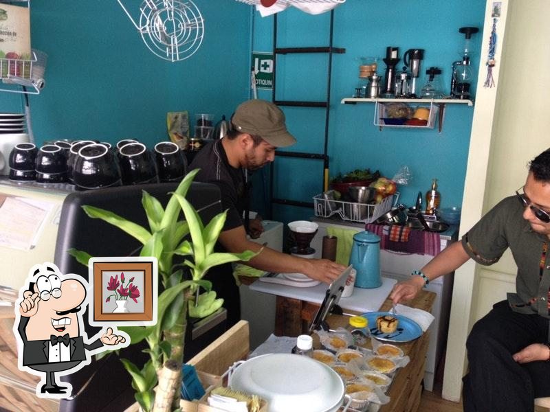 AMPARO Café, Mexico City - Restaurant reviews