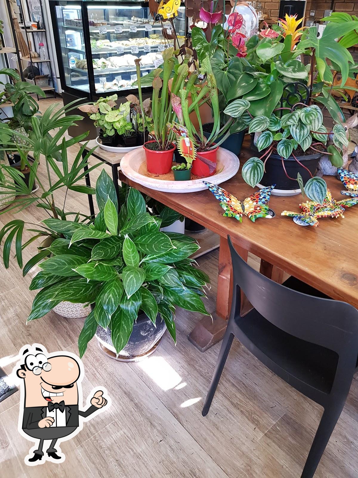 Waterfall Gully Cafe and Nursery, Rosebud - Restaurant menu, prices and ...