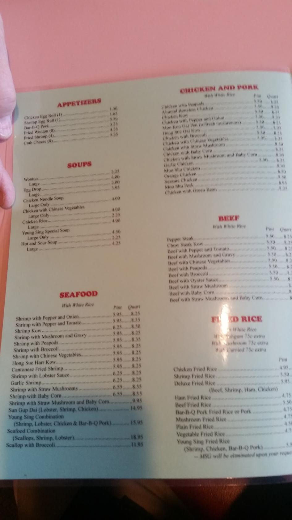 Menu at Young Sing Chinese Restaurant, Flint