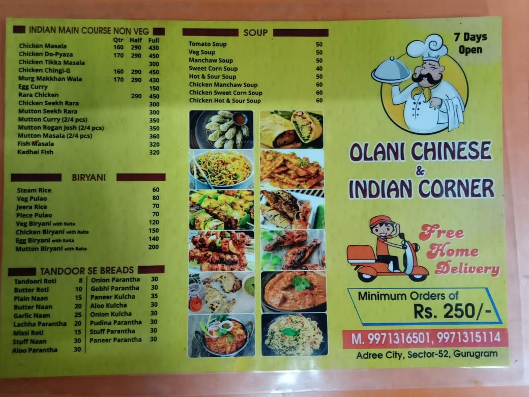 Menu at Olani Chinese & Indian corner, Gurugram