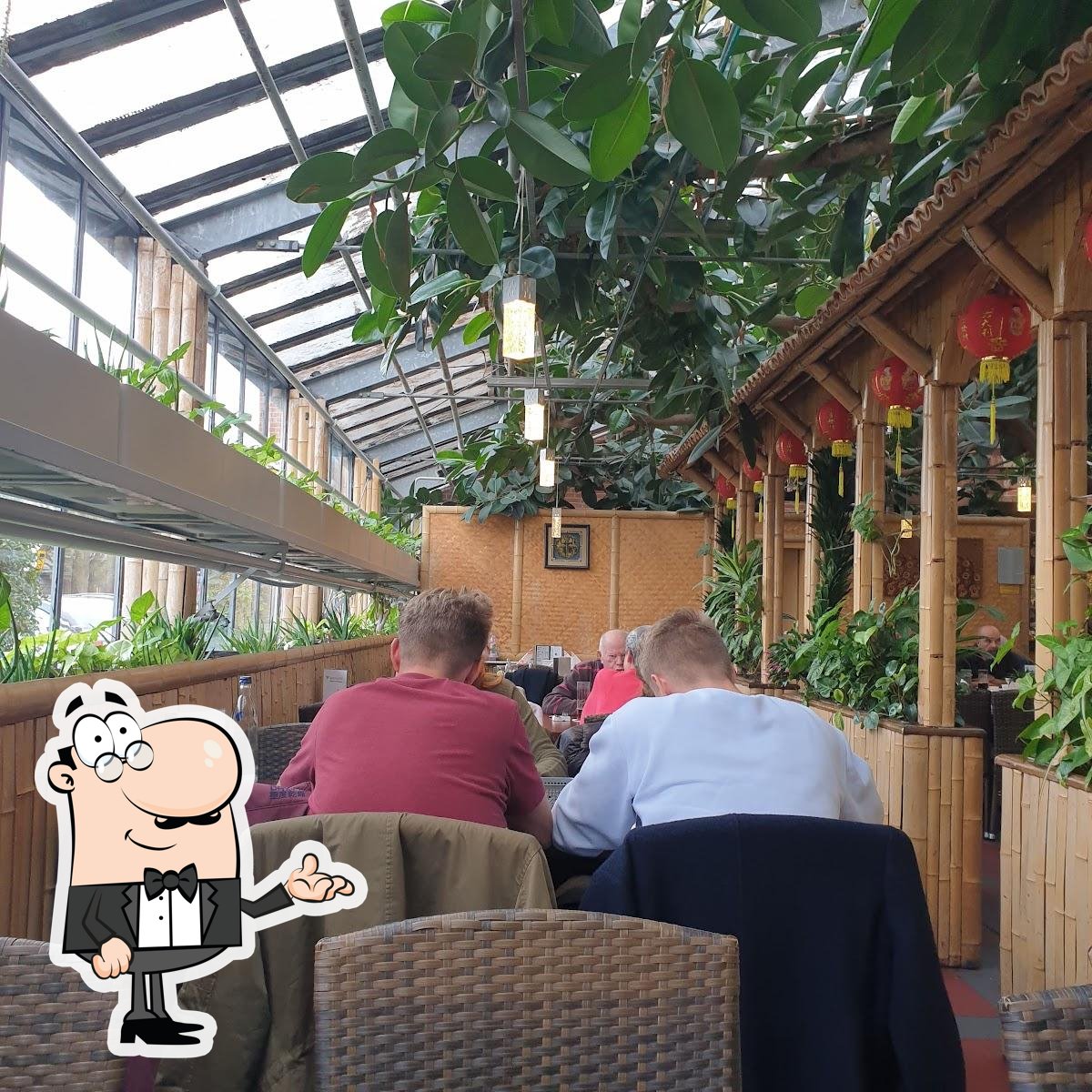 Bambus Garten Dsseldorf