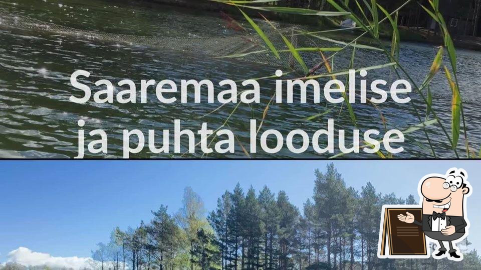 Pidula Forell cafe, Estonia - Restaurant reviews