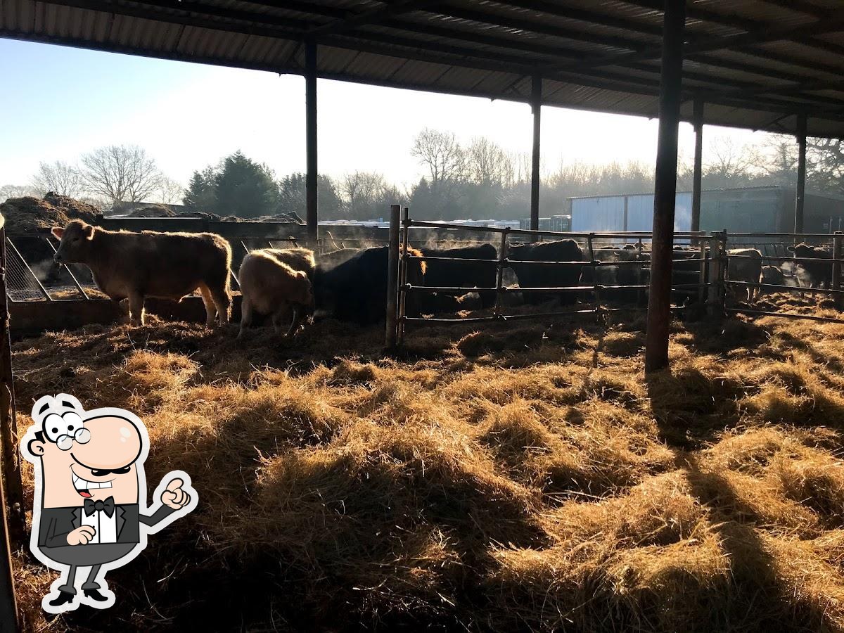 The Oaks Poultry Farm (Farm Shop) in Hassocks - Restaurant reviews