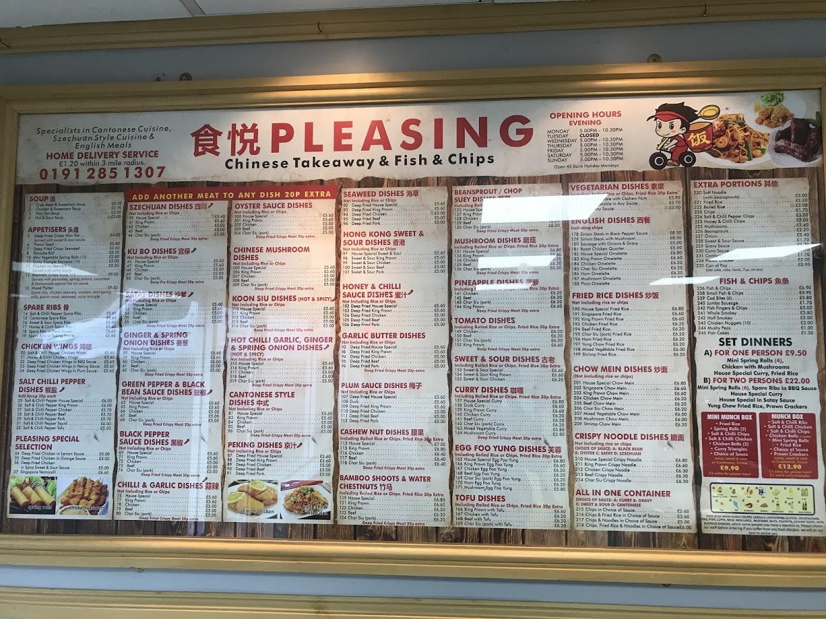 Menu at Pleasing Chinese Takeaway restaurant, Newcastle upon Tyne