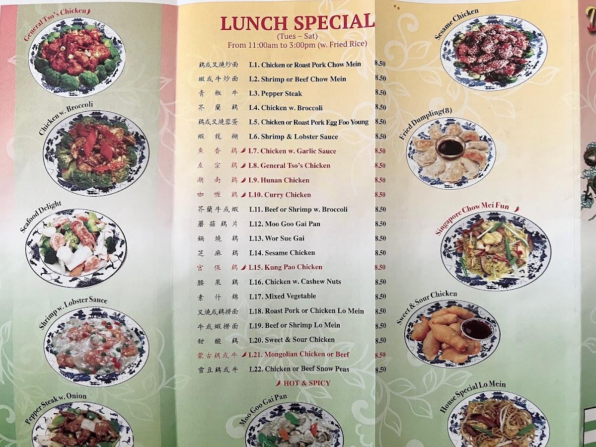 Menu at Dragon Village of Buckeye Lake restaurant, Buckeye Lake