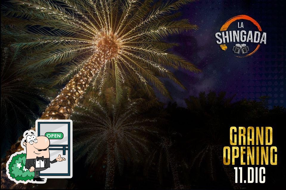 La Shingada pub & bar, Lázaro Cárdenas - Restaurant reviews