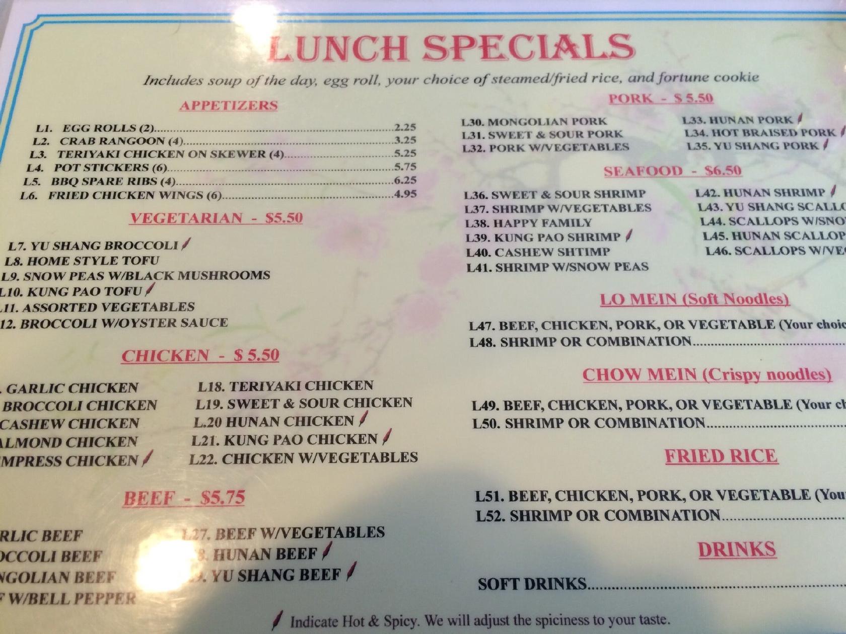 Menu at China Village restaurant, Adel, 628 Nile Kinnick Dr S # C