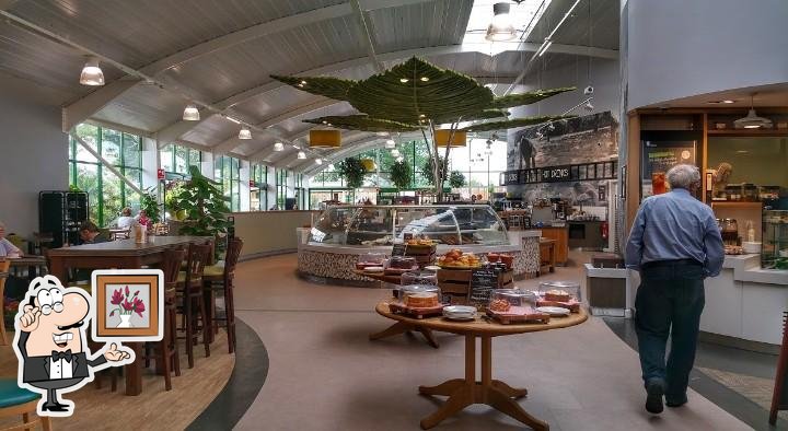 The Elm Tree Restaurant in Taunton - Restaurant menu and reviews