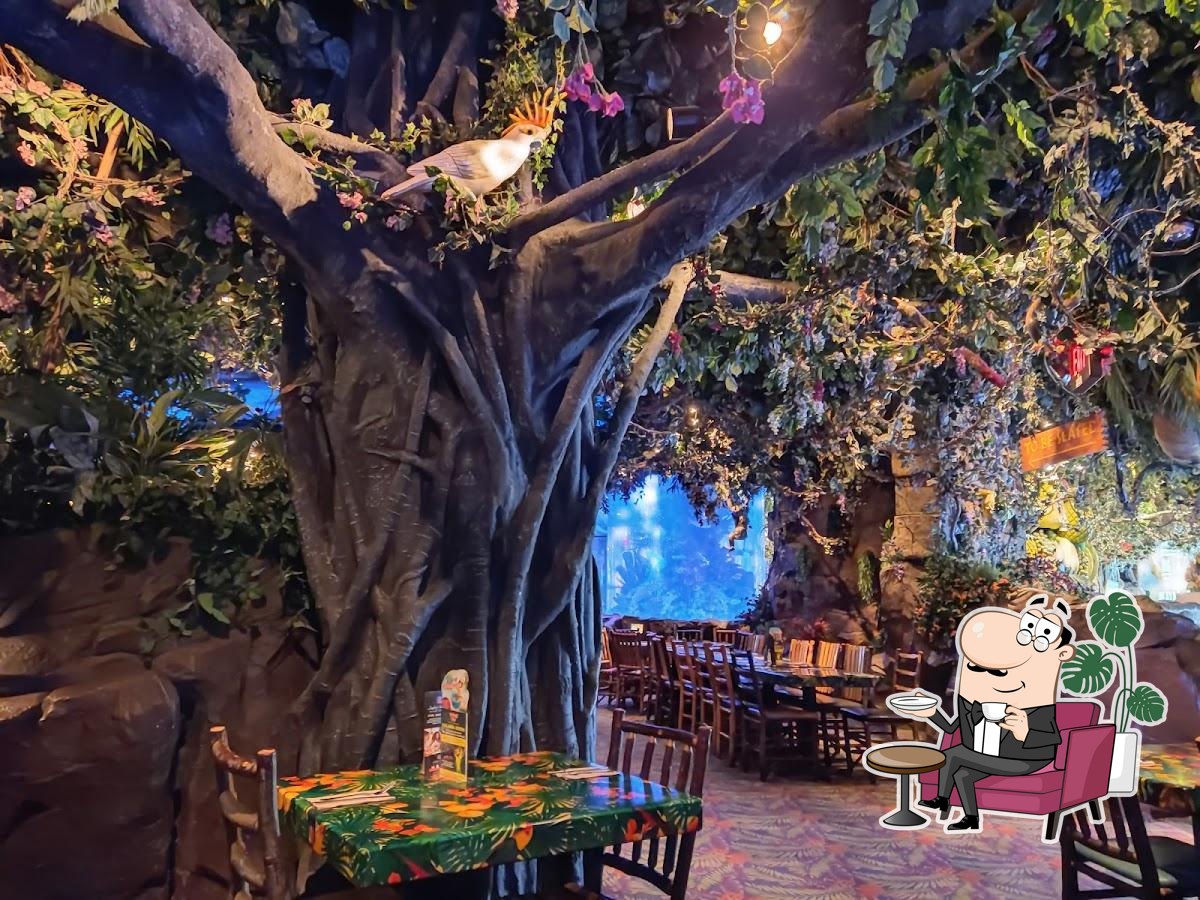 Rainforest Cafe, Sunrise - Restaurant menu, prices and reviews