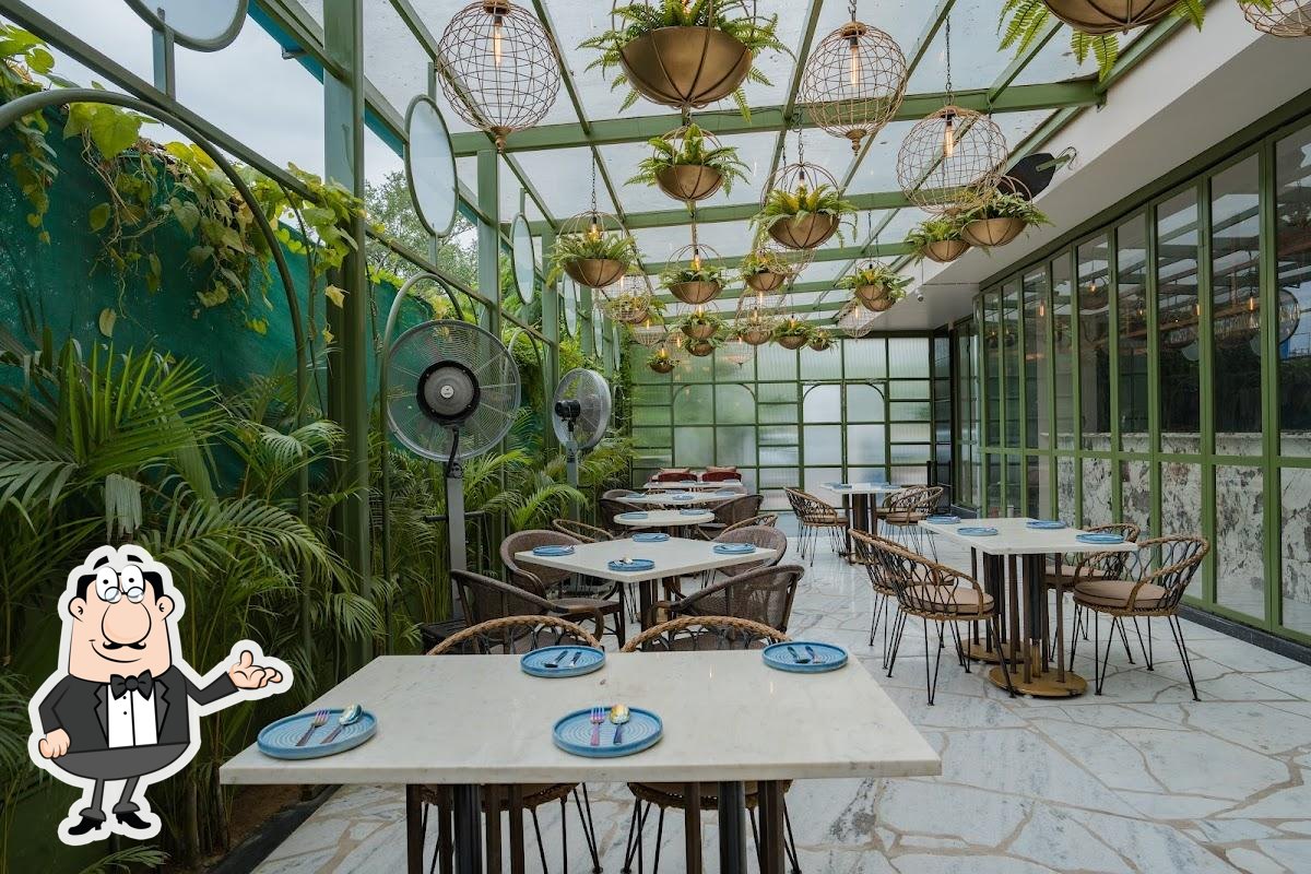 Mimi - Elevated Cocktails, Jaipur - Restaurant reviews