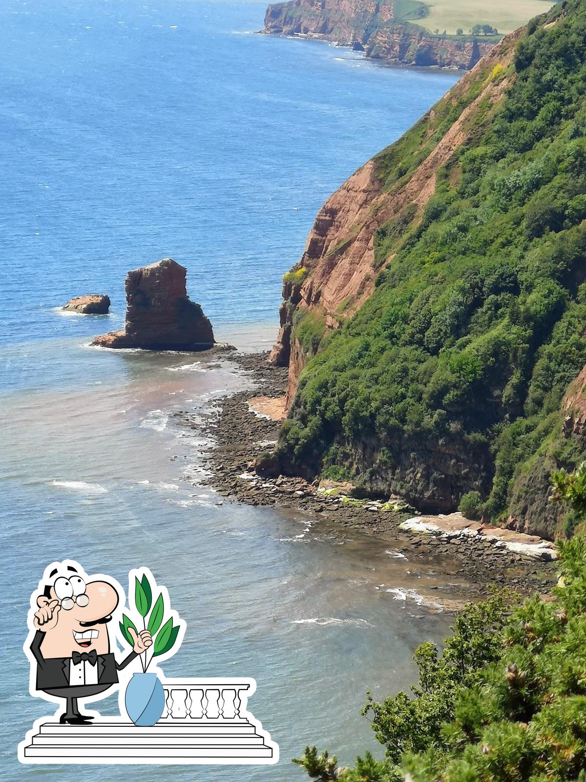 Jacobs Ladder Beach Kiosk in Sidmouth - Restaurant reviews