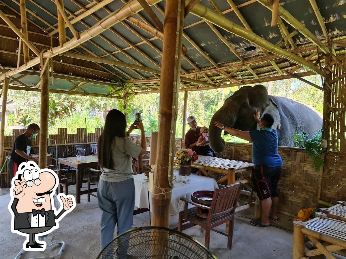 Elephant Cafe Samui, Ko Samui - Restaurant menu, prices and reviews