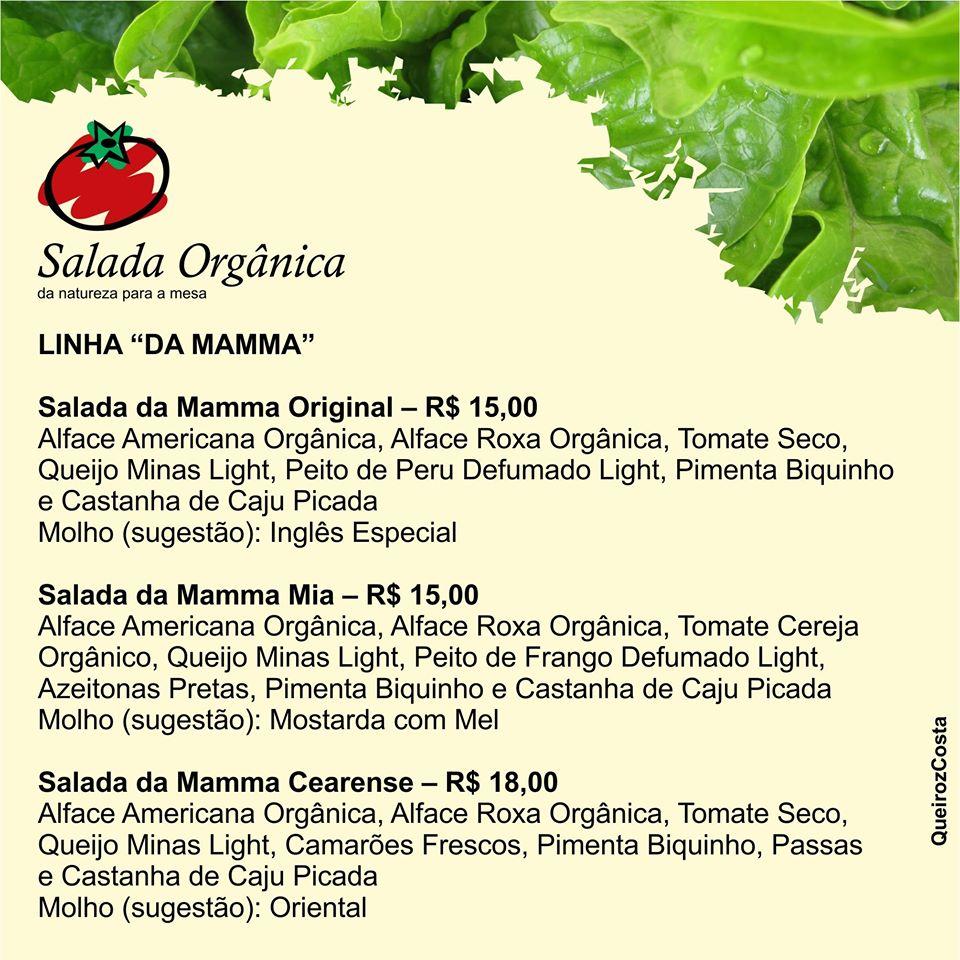 Menu at Salada Orgânica pub & bar, Fortaleza, Rua Coronel Linhares