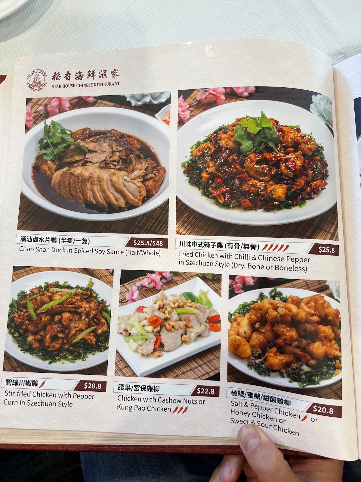 Menu at Star House Chinese Restaurant, Adelaide