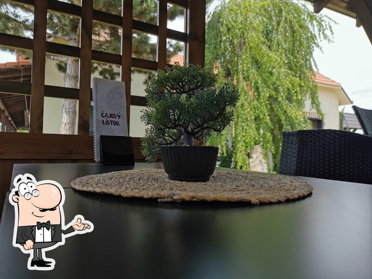 Tibet Park, Nové Zámky - Restaurant reviews
