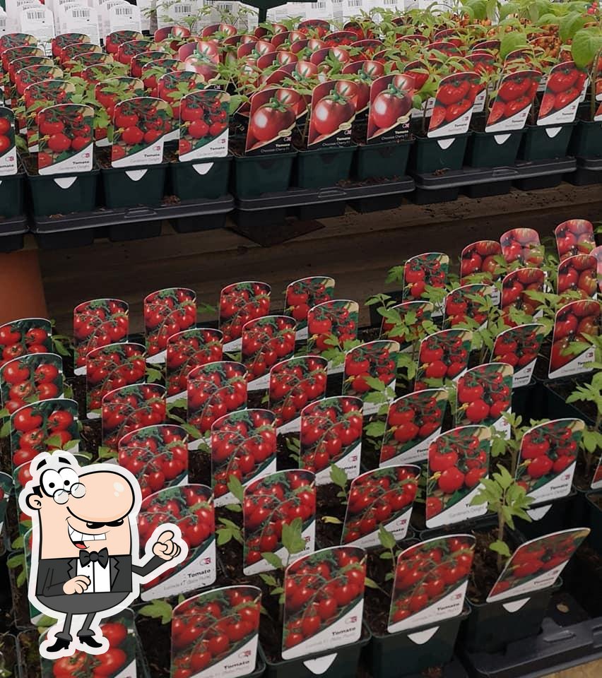 3 Shires Garden Centre in Newent - Restaurant reviews