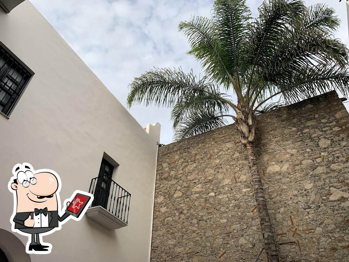 CALIXTO. Café con Sentido, Heroica Puebla de Zaragoza - Opiniones del ...