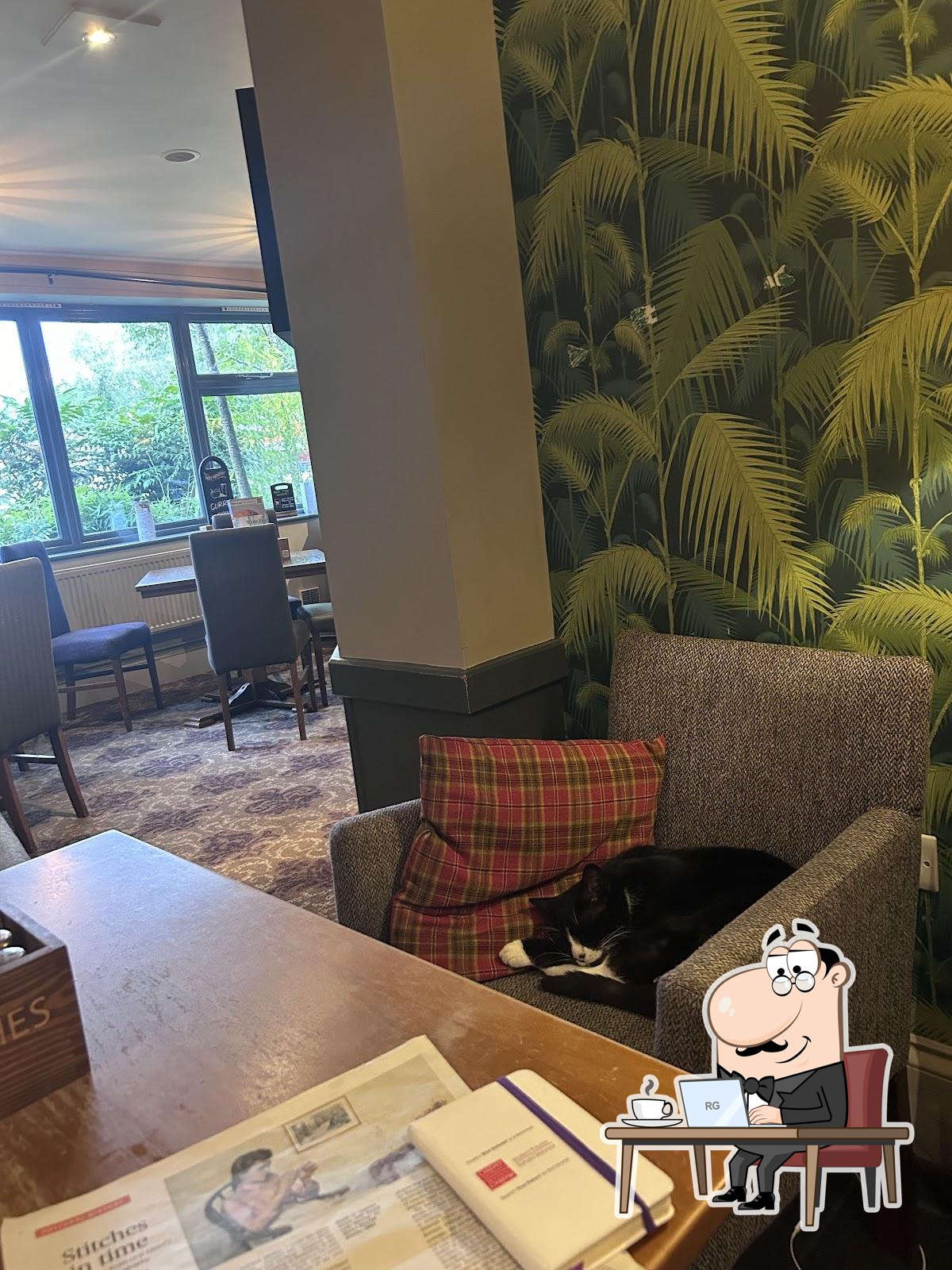 Three Arches, Cardiff - Restaurant menu, prices and reviews