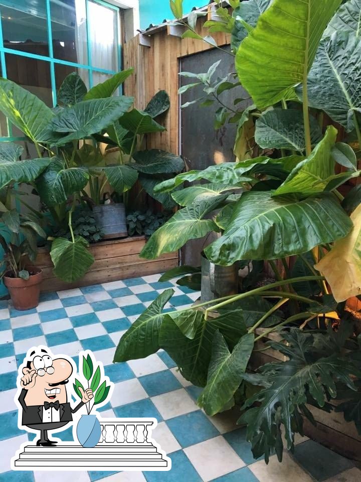 Fedra's Garden, Martínez - Menú del restaurante, precios y reseñas