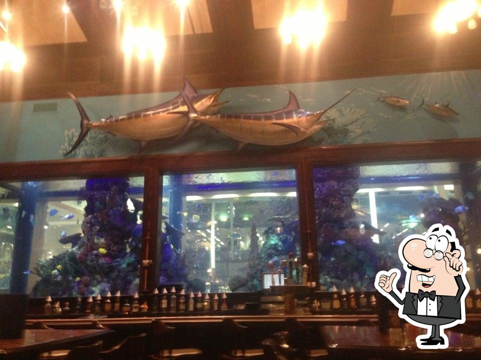 Islamorada Fish Company, Fort Myers - Restaurant menu, prices and reviews