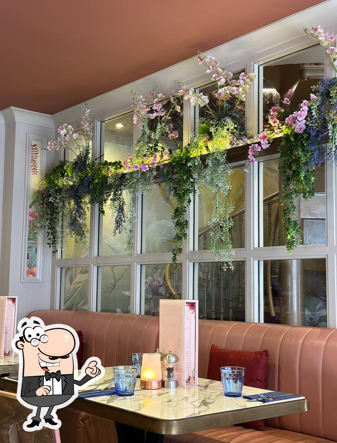 Lucia Restaurant, York - Restaurant menu, prices and reviews