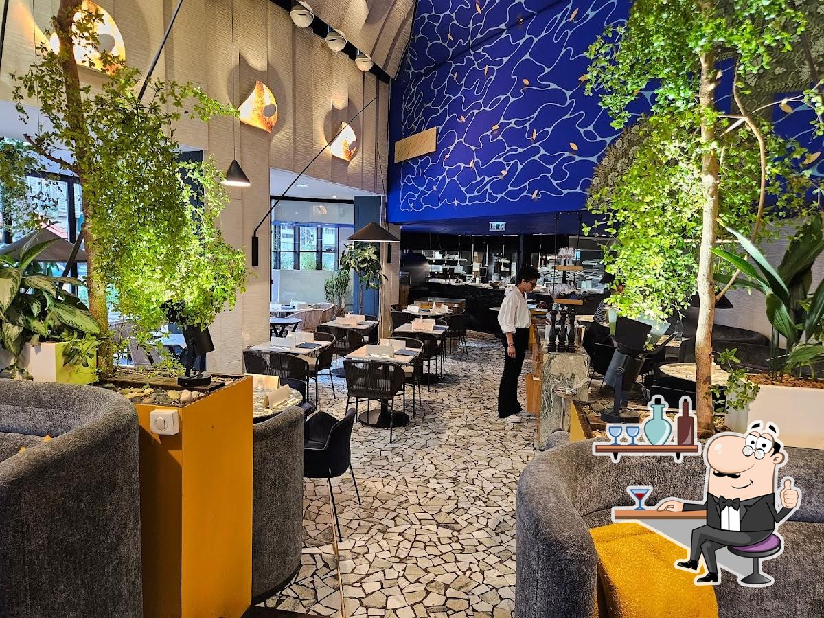 DAROCO 16, Paris - Menu du restaurant, prix et avis