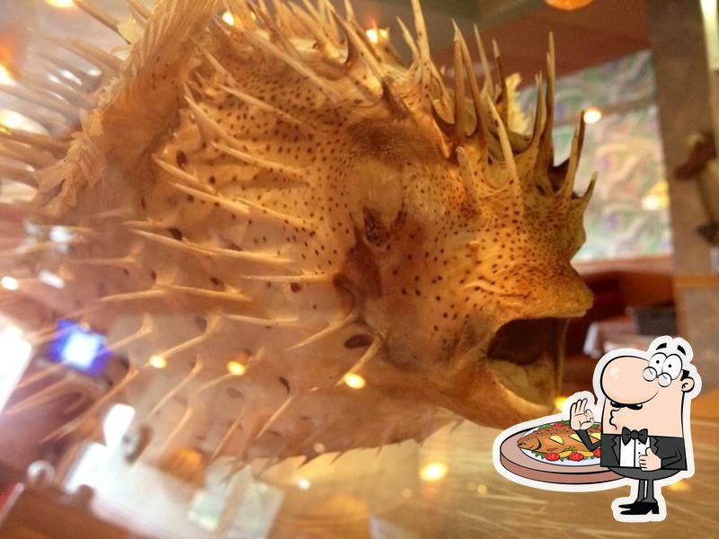 Johnson's Door County Fish in Lombard - Restaurant reviews