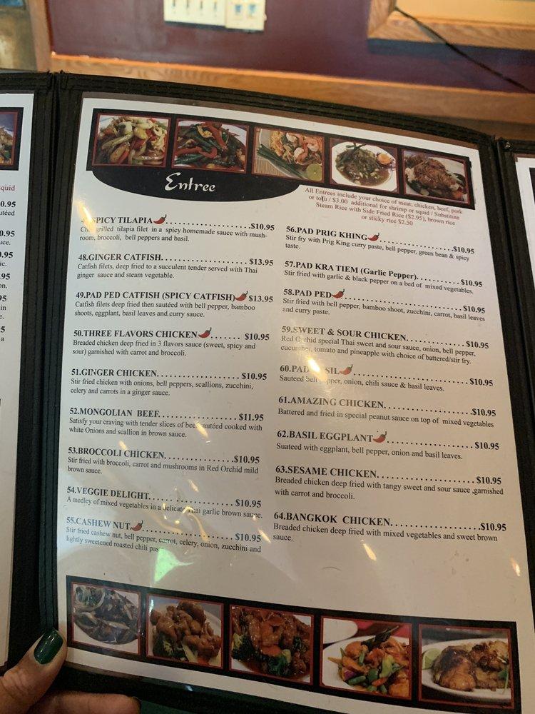 Menu at Red Orchid Thai Cuisine restaurant, McDonough
