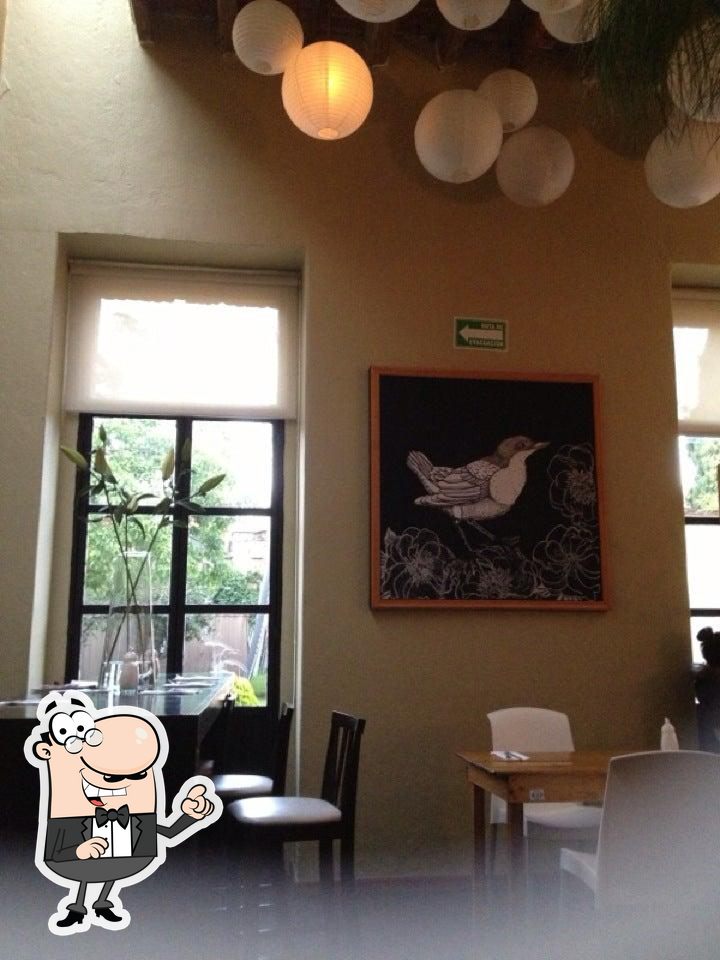 Lusso Cafe, Toluca de Lerdo - Menú del restaurante, precios y reseñas