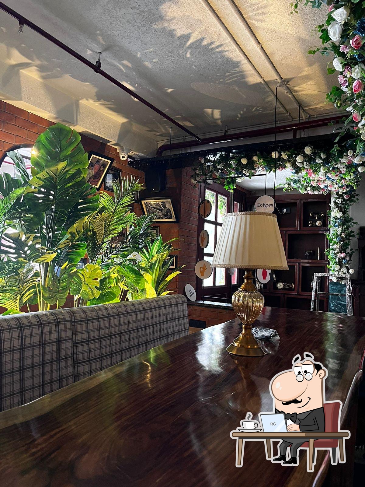 Echoes, Delhi, Peera Garhi - Restaurant menu, prices and reviews