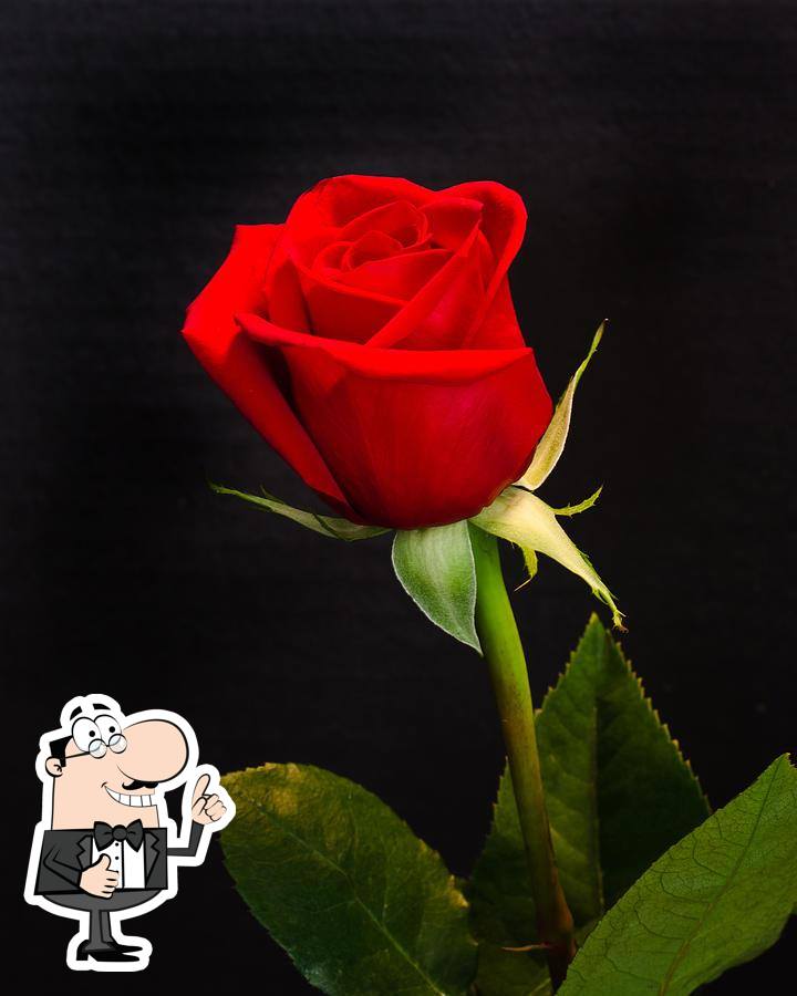 Rose Of India, Crook - Restaurant menu, prices and reviews