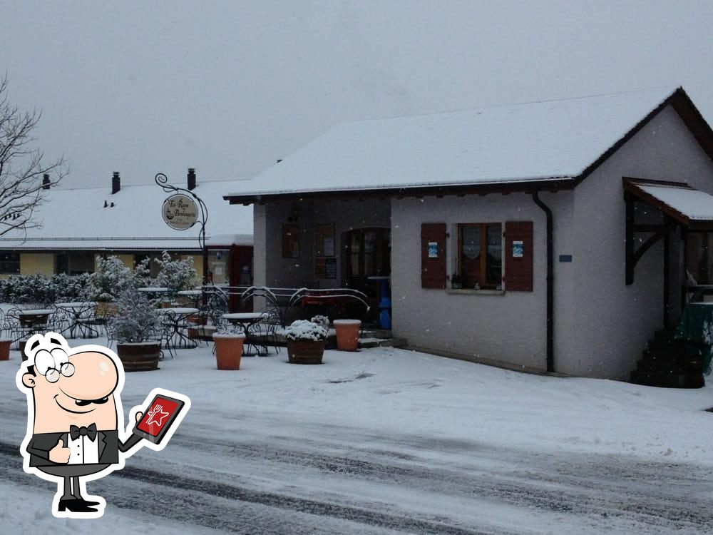 Tea Room de Dardagny, Dardagny, Route du Mandement 491 - Opiniones del ...