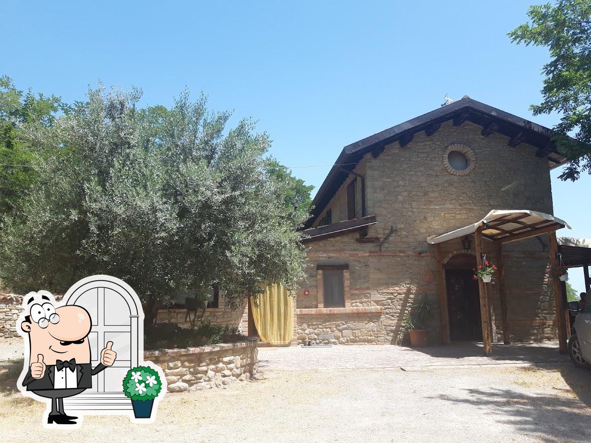 Agriturismo Podere Bellaria, Cusercoli - Menu del ristorante, prezzi e ...